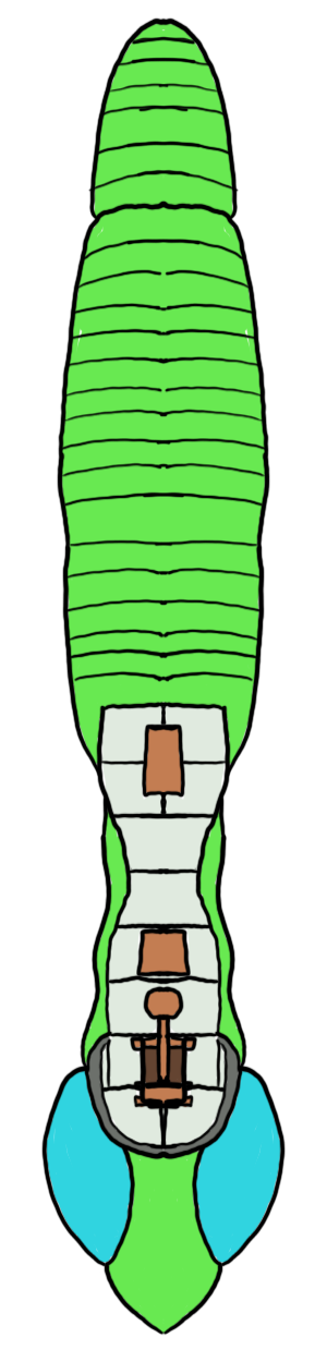 Spelljammer Maps: Bombard and Damselfly Ship