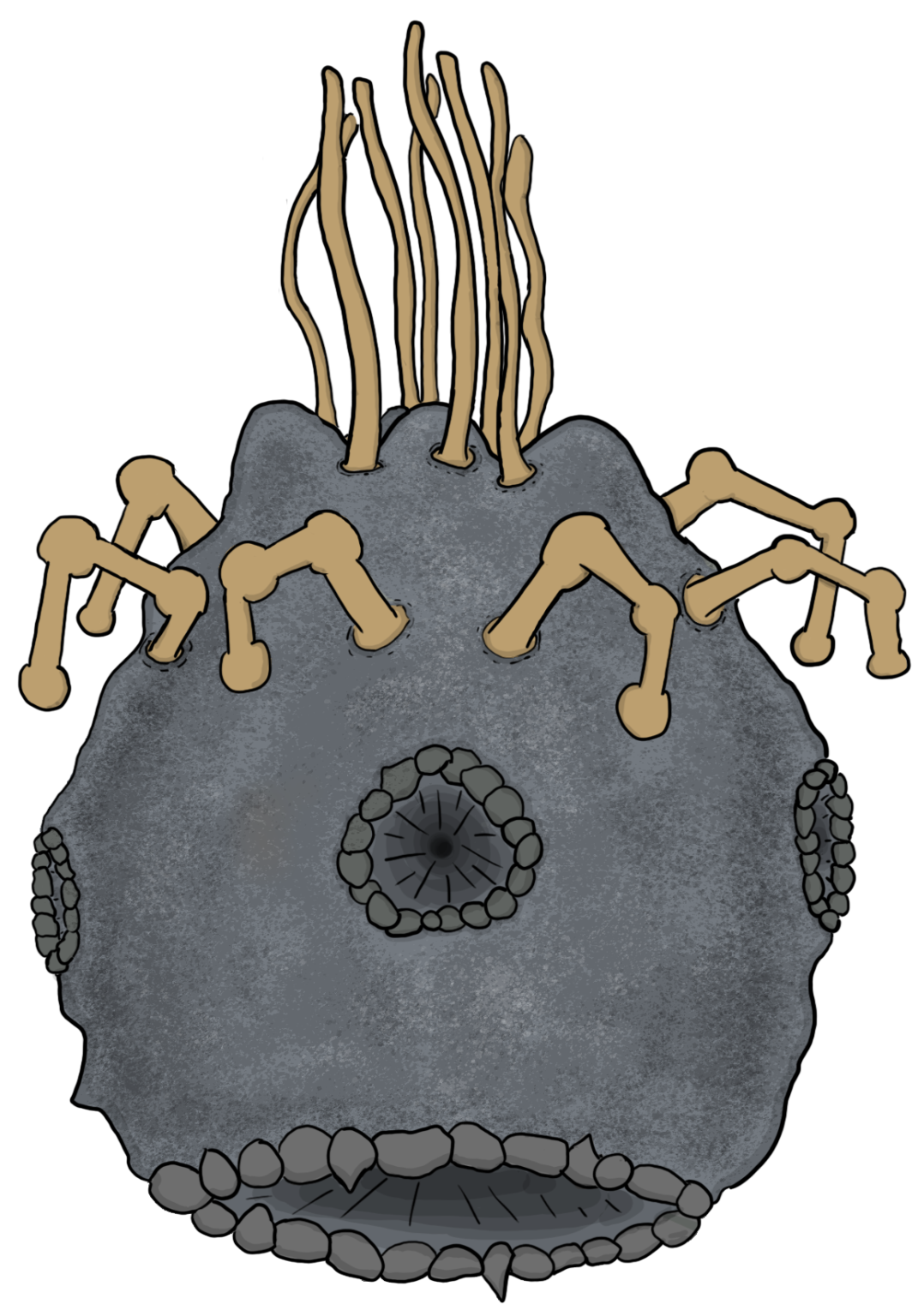 Beholder Tyrant Spelljammer - Dungeonsports Coliseum