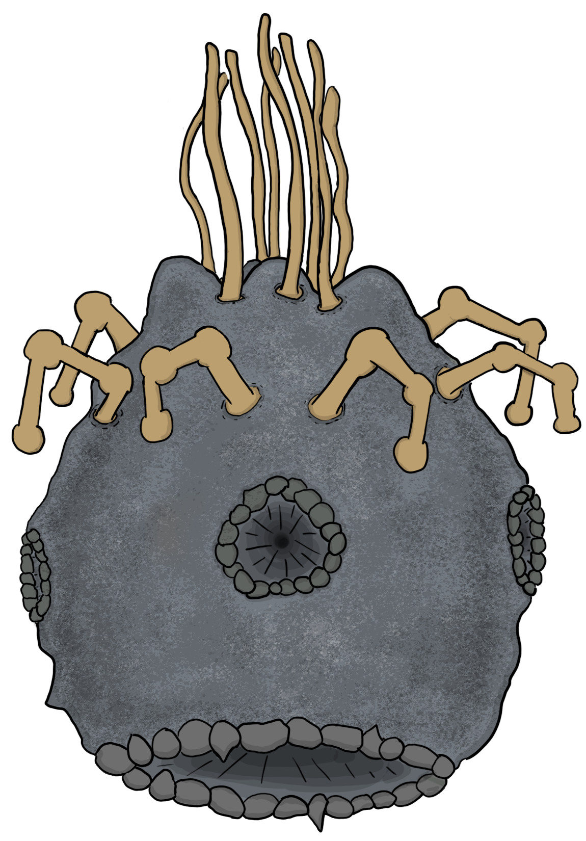 Beholder Tyrant Spelljammer - Dungeonsports Coliseum
